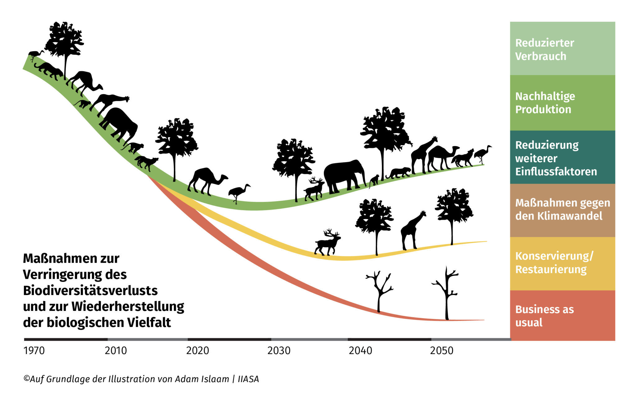 Was ist Biodiversität: Chancen erkennen für Ihr Wirtschaften
